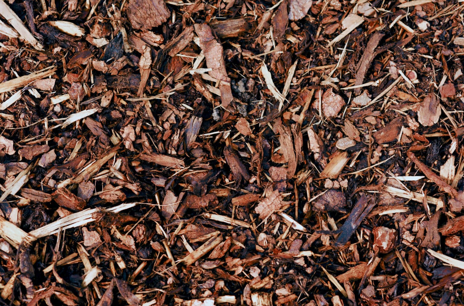 Biomass-fired Heat & Power Plants (CHP) | HoSt Group