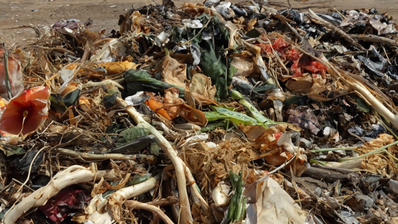 Organic waste biogas plants | HoSt Group