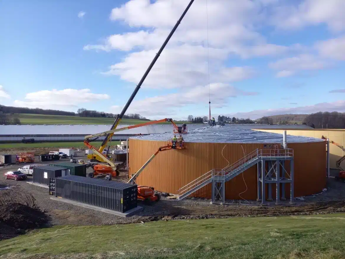 Looking back on 2025: our environmental impact summary | HoSt Energy ...