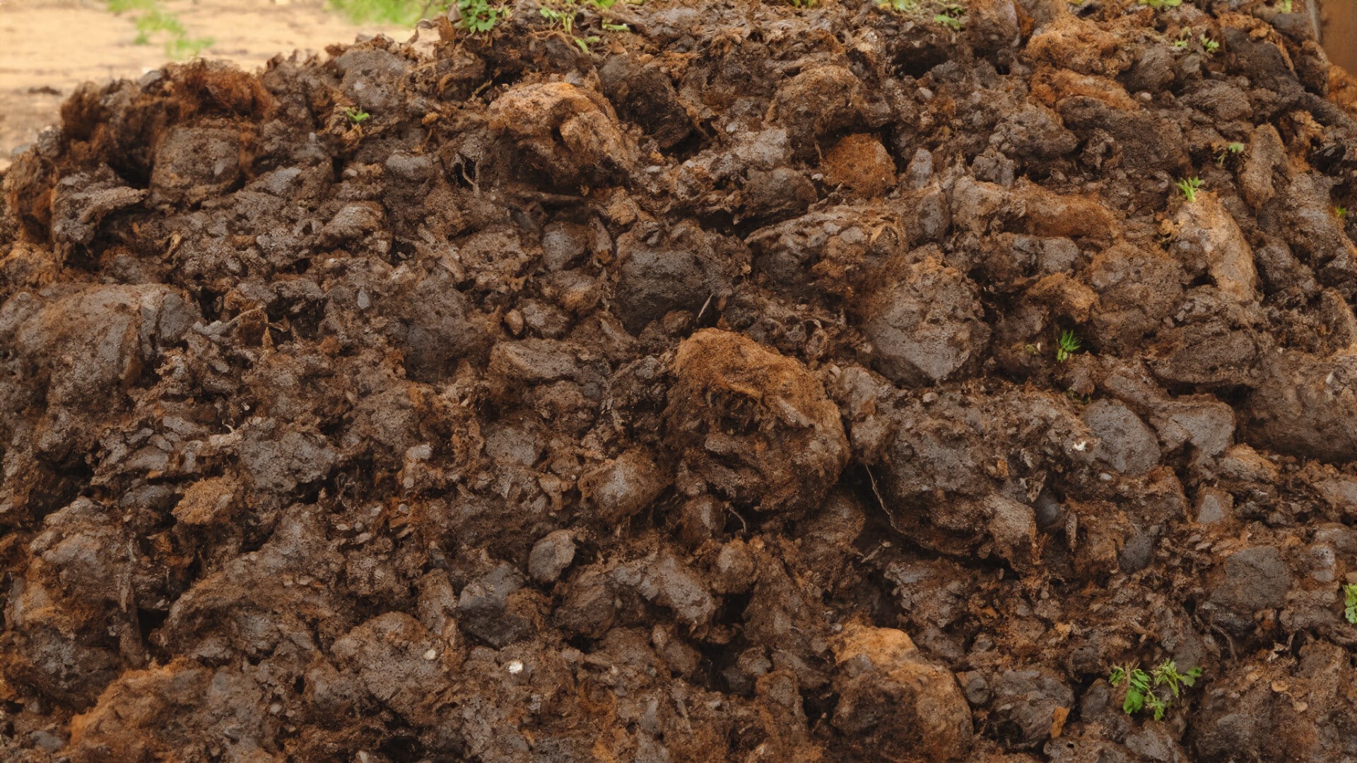 Organic residues and manure biogas plants | HoSt Group