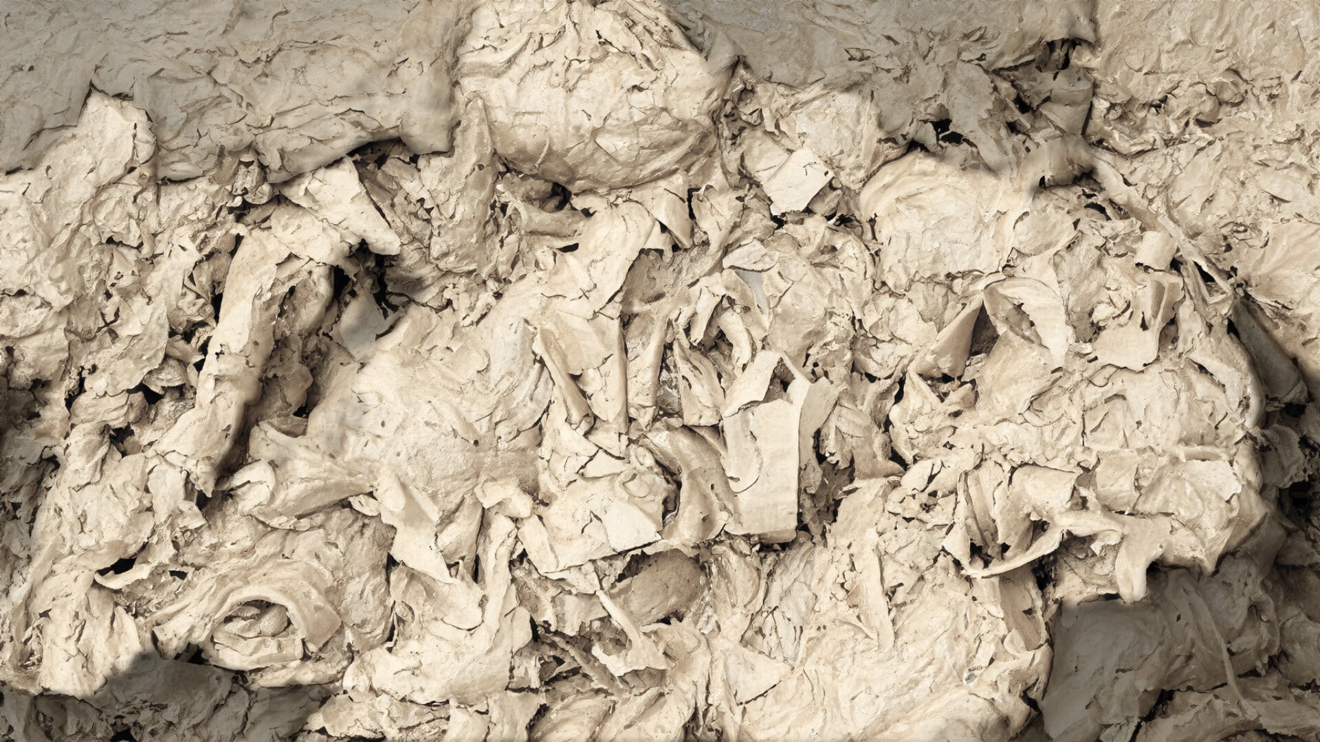 RDF-fired Heat & Power Plants (CHP) | HoSt Group