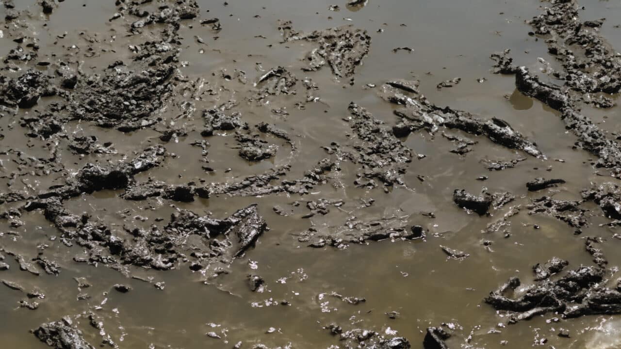 Organic waste biogas plants | HoSt Group