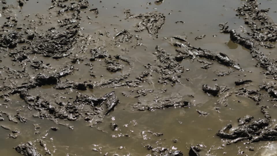 Organic waste biogas plants | HoSt Group