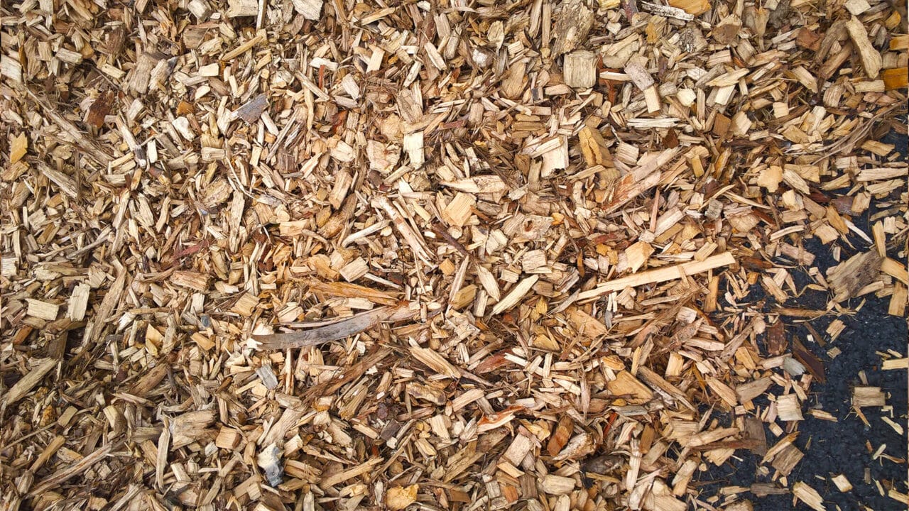 Biomass-fired Heat & Power Plants (CHP) | HoSt Group