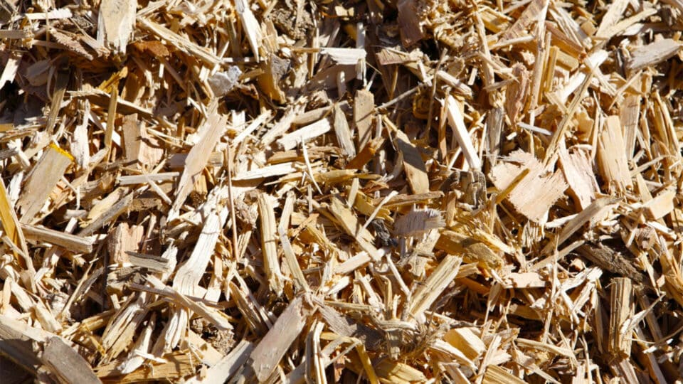 Biomass-fired Heat & Power Plants (CHP) | HoSt Group