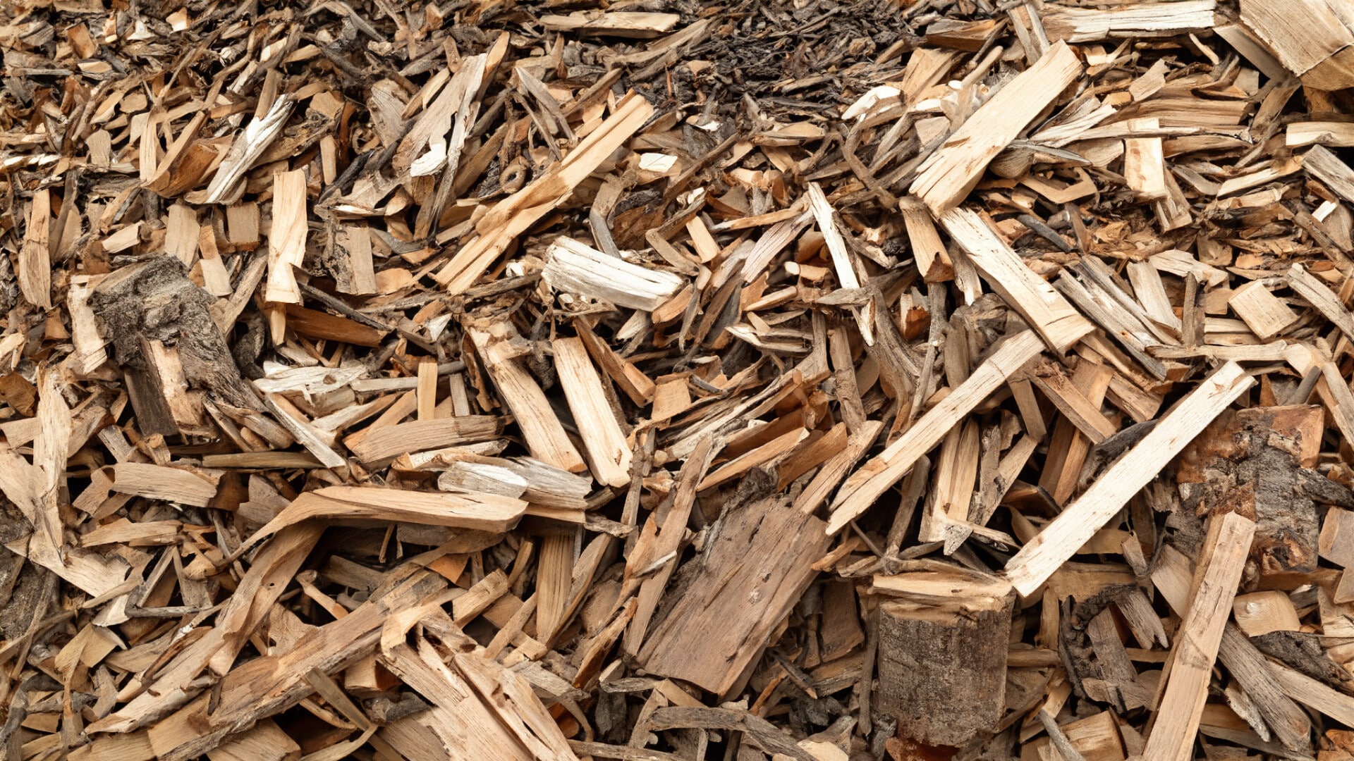 Steam Boiler Plants - Steam Boilers | HoSt Group